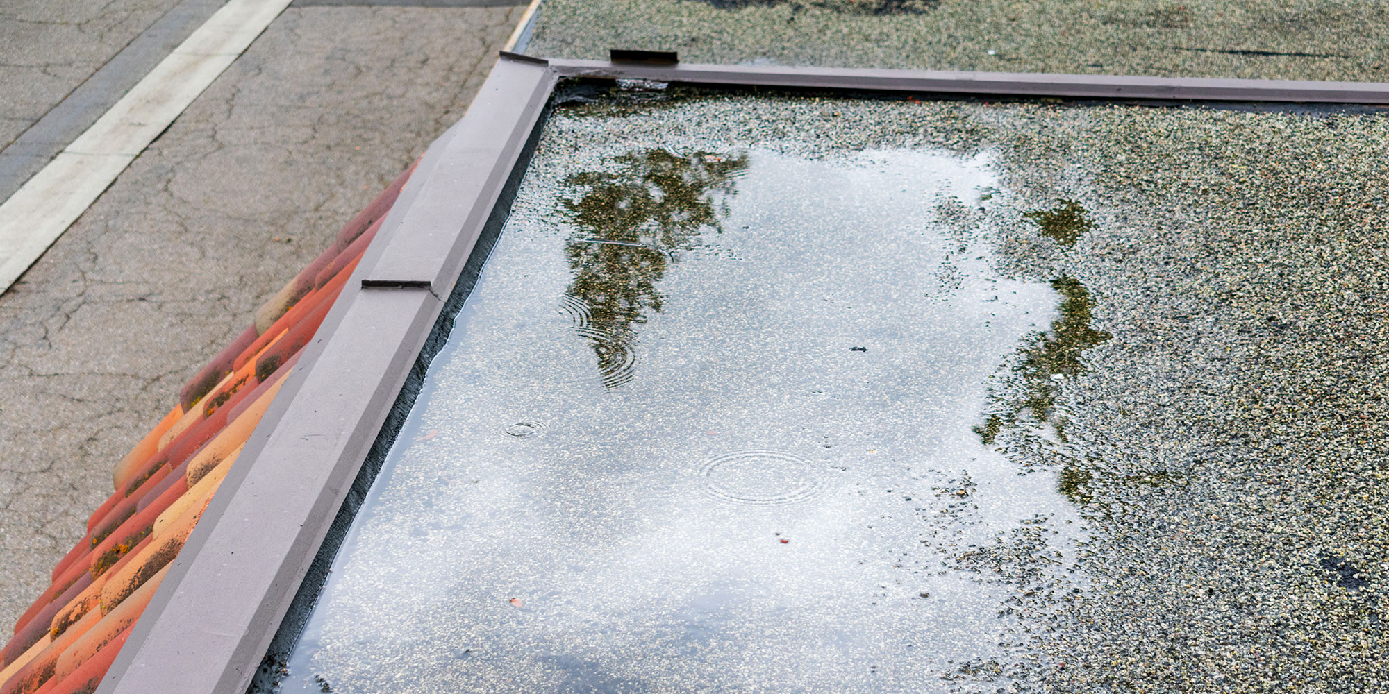 How do you fix a sagging roof in Clearwater: Residential Roof Repair